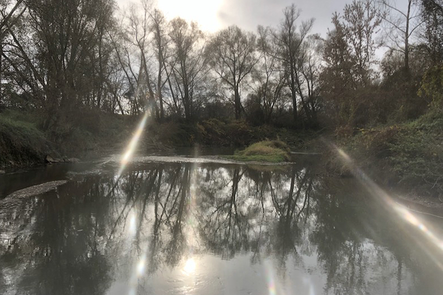 Raab-Mäander Exkursion mit Markus Ehrenpaar - Naturschutzbund Steiermark